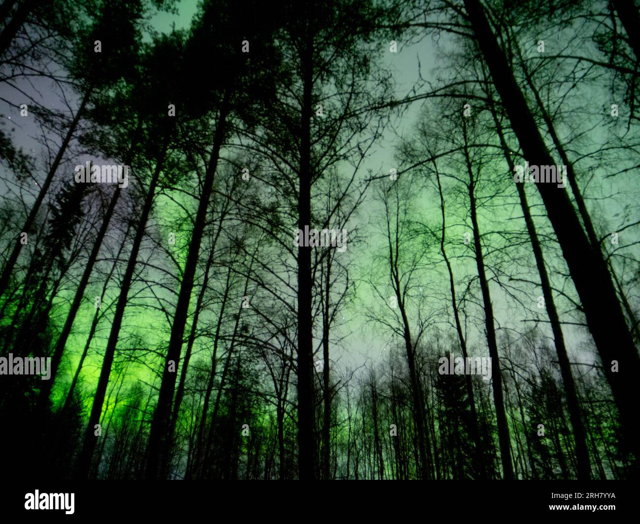 Sweden lulea lapland hi-res stock photography and images - Alamy