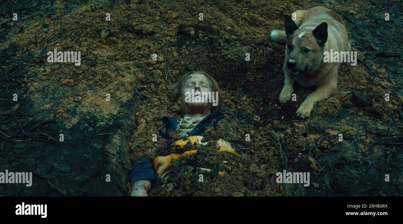 THE ROOSTER, Rhys Mitchell, 2023. © Bonsai Films / Courtesy Everett ...