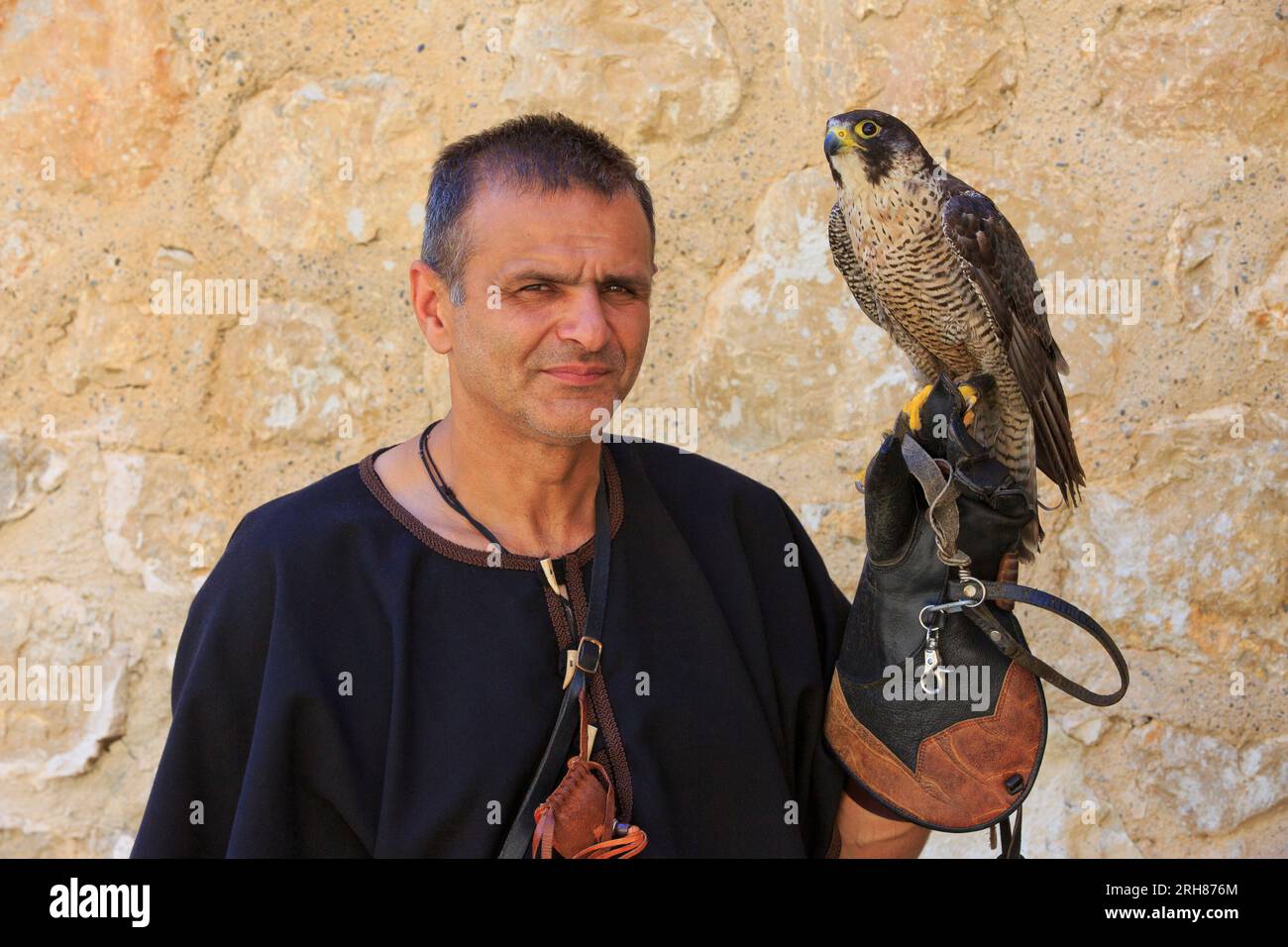 A Serbian austringer holding a beautiful Northern goshawk at Golubac ...