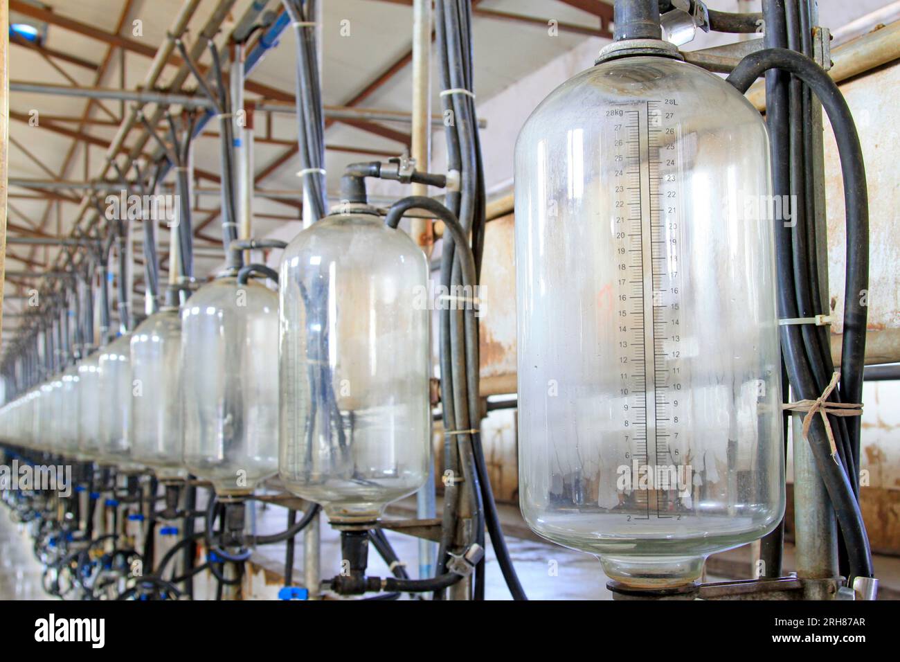 glass milk storage tank in a milking workshop, luannan county, china ...