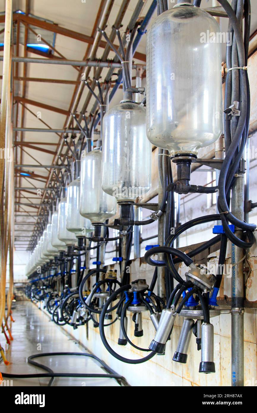 glass milk storage tank in a milking workshop, luannan county, china ...