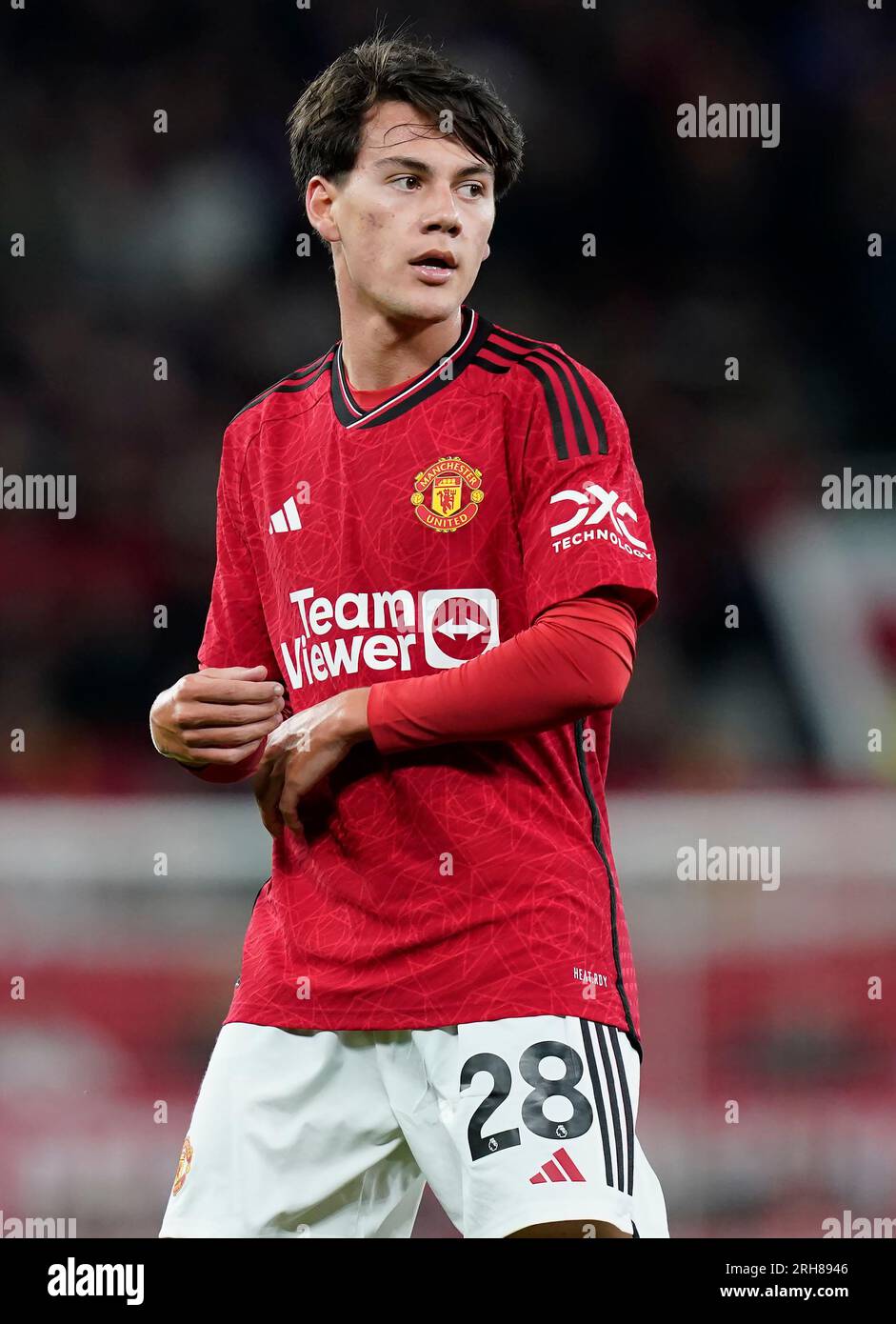 Pellistri 2023 hi-res stock photography and images - Alamy