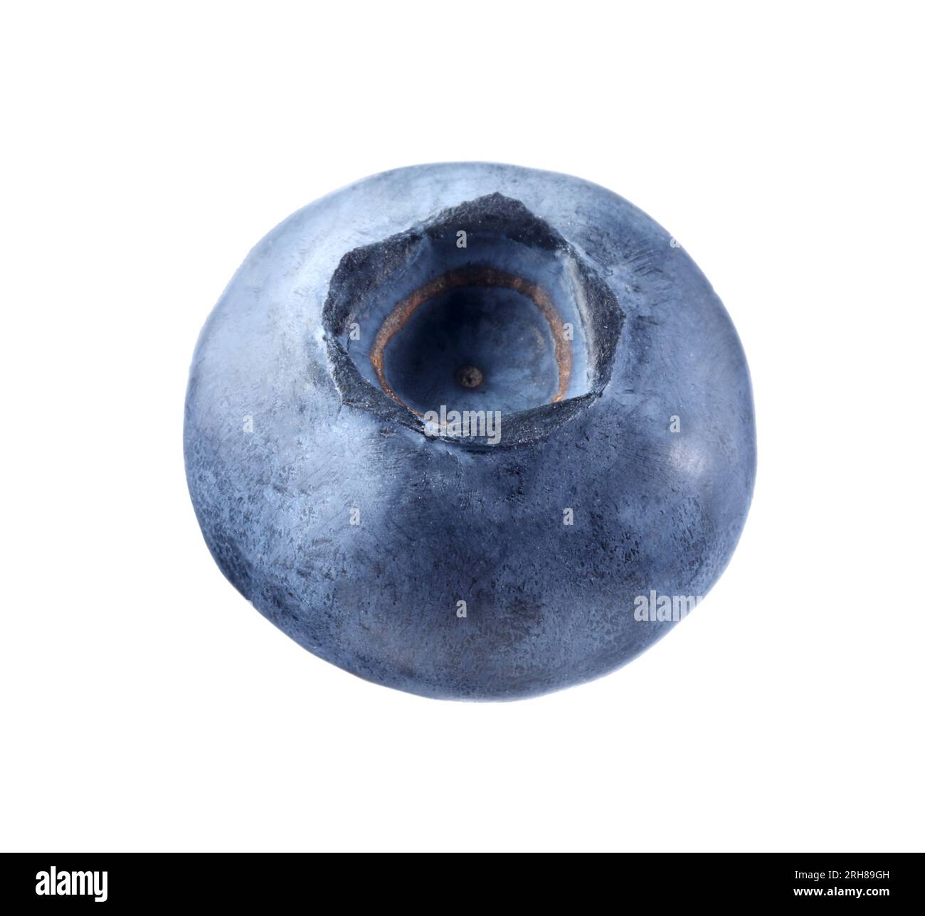 One fresh ripe blueberry isolated on white Stock Photo - Alamy