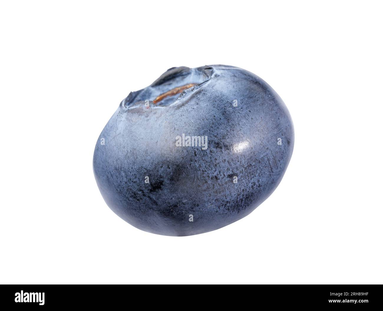 One fresh ripe blueberry isolated on white Stock Photo - Alamy