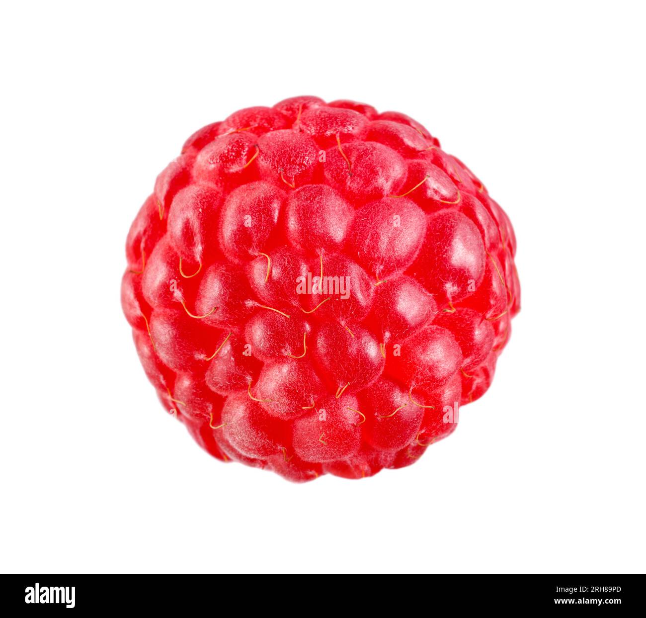 One tasty ripe raspberry isolated on white Stock Photo - Alamy