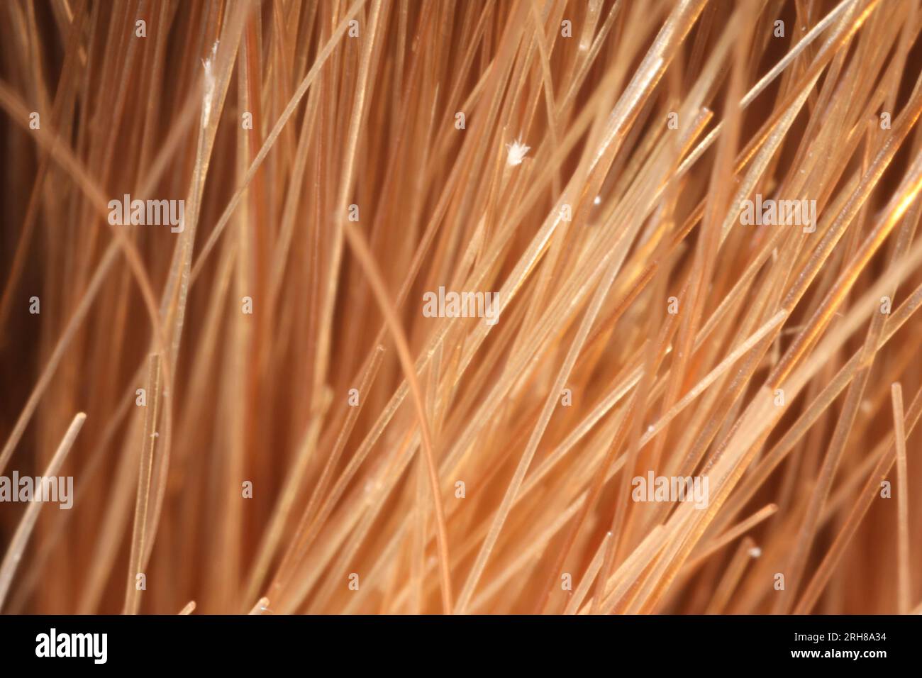 Closeup view of human hair as background Stock Photo - Alamy