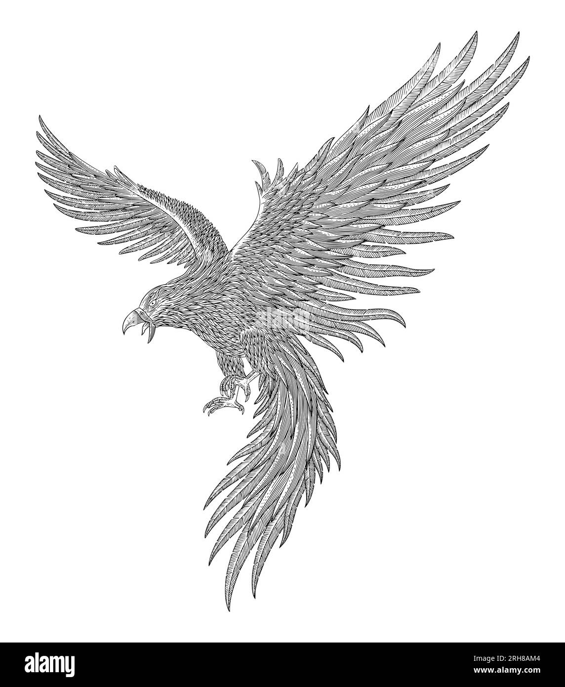 Phoenix Bird Vintage Engraving Drawing Style Vector Illustration Stock