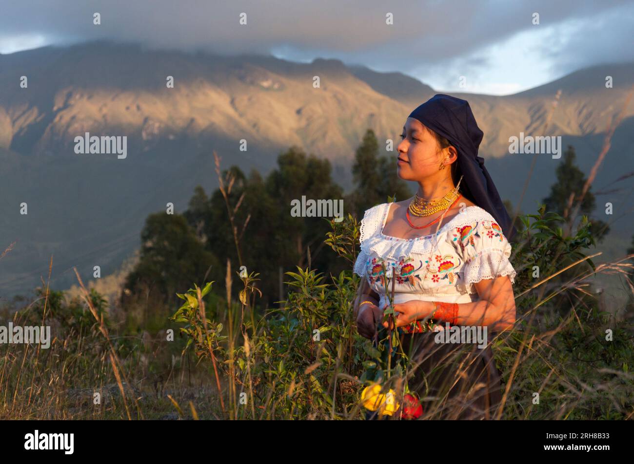Woman looking at aboriginal art hi-res stock photography and images - Alamy