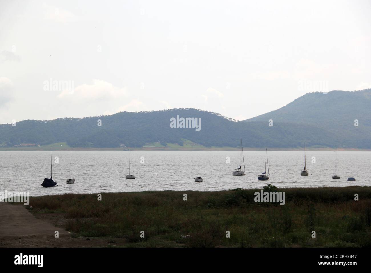 Port of small and large sailboats parked and sailing on the lake of ...