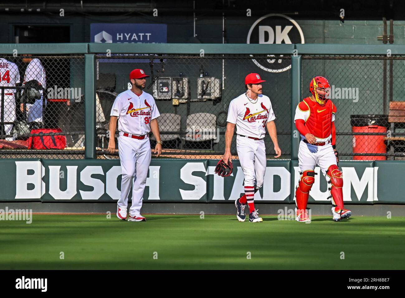 ST. LOUIS, MO - Aug 14: St. Louis Cardinals starting pitcher Miles ...