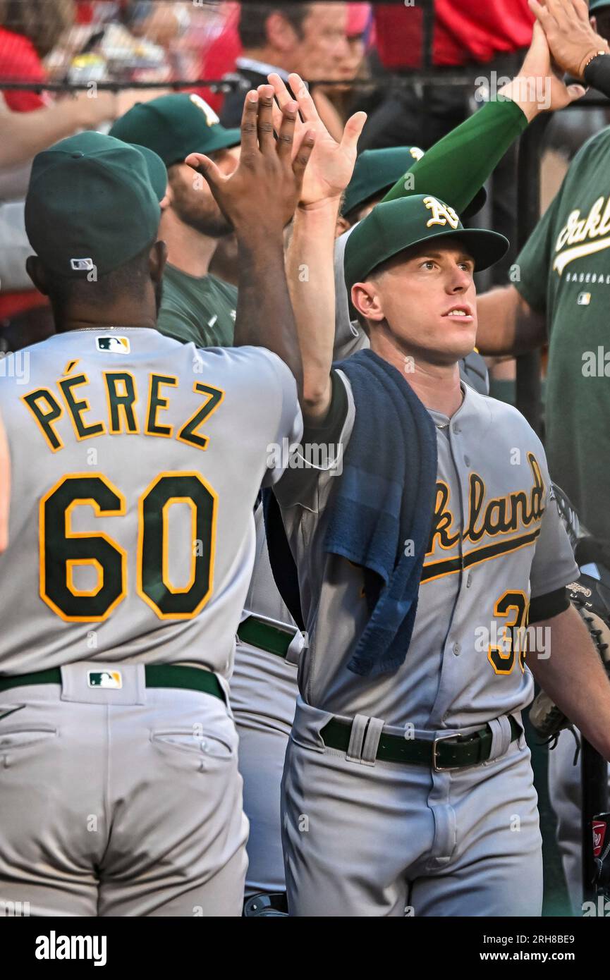 ST. LOUIS, MO - Aug 14: Oakland Athletics starting pitcher JP Sears (38 ...