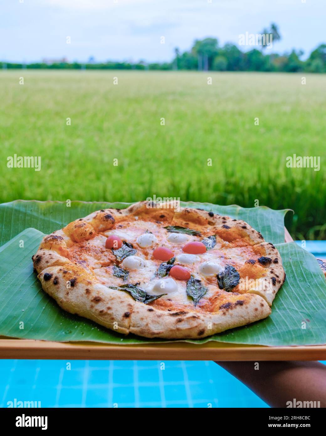 pizza at a farm stay in Thailand with green rice fields, homemade pizza ...