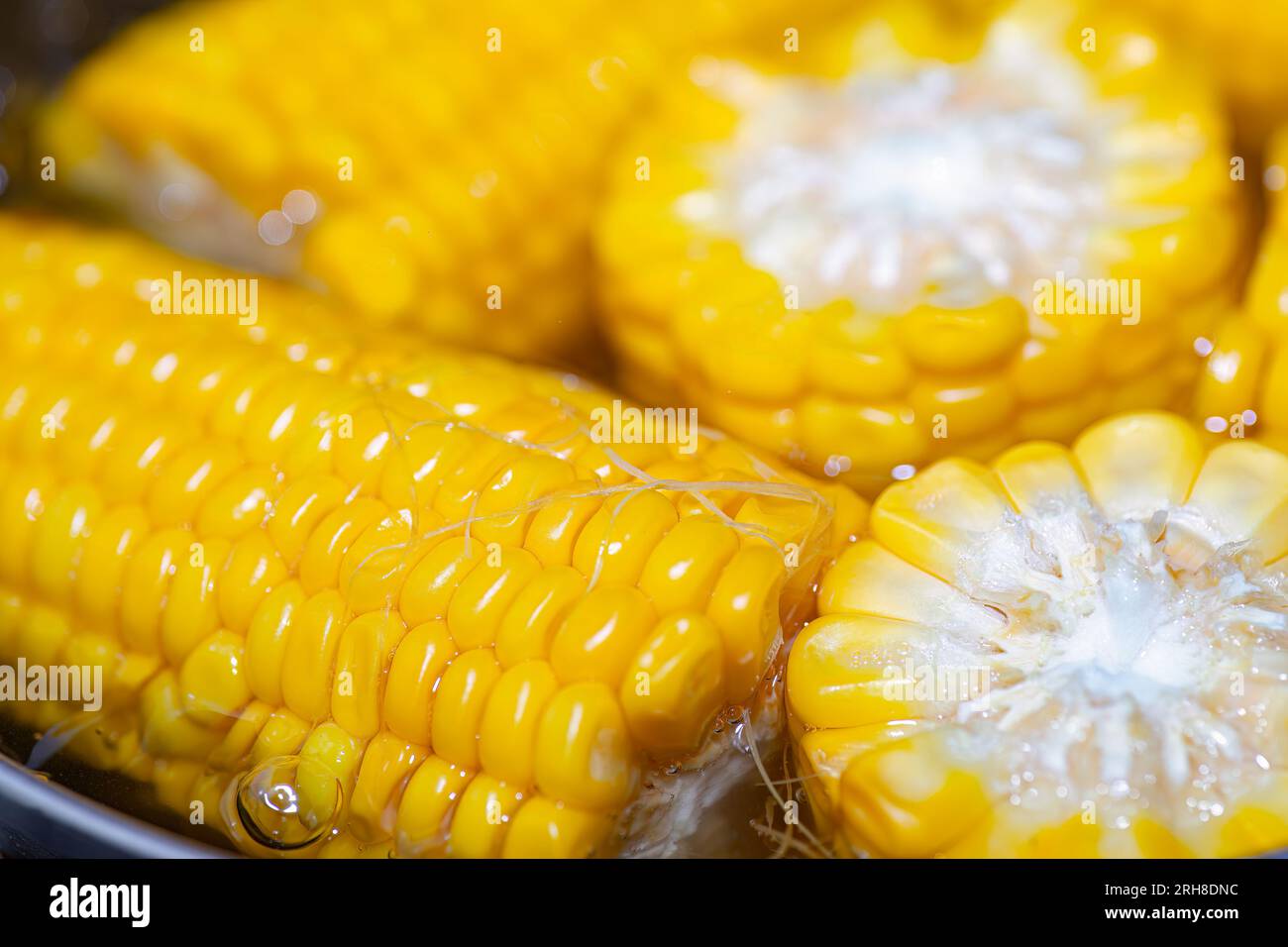 Boiling sweetcorn on pan . Boiled corn on the cob in a pan Stock Photo ...