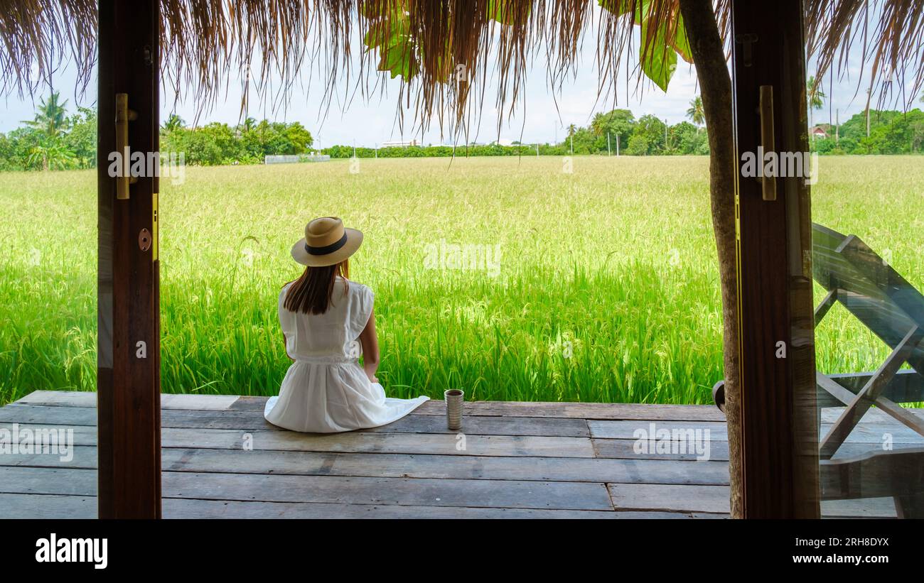 women in front of a Bamboo hut homestay farm with Green rice paddy ...