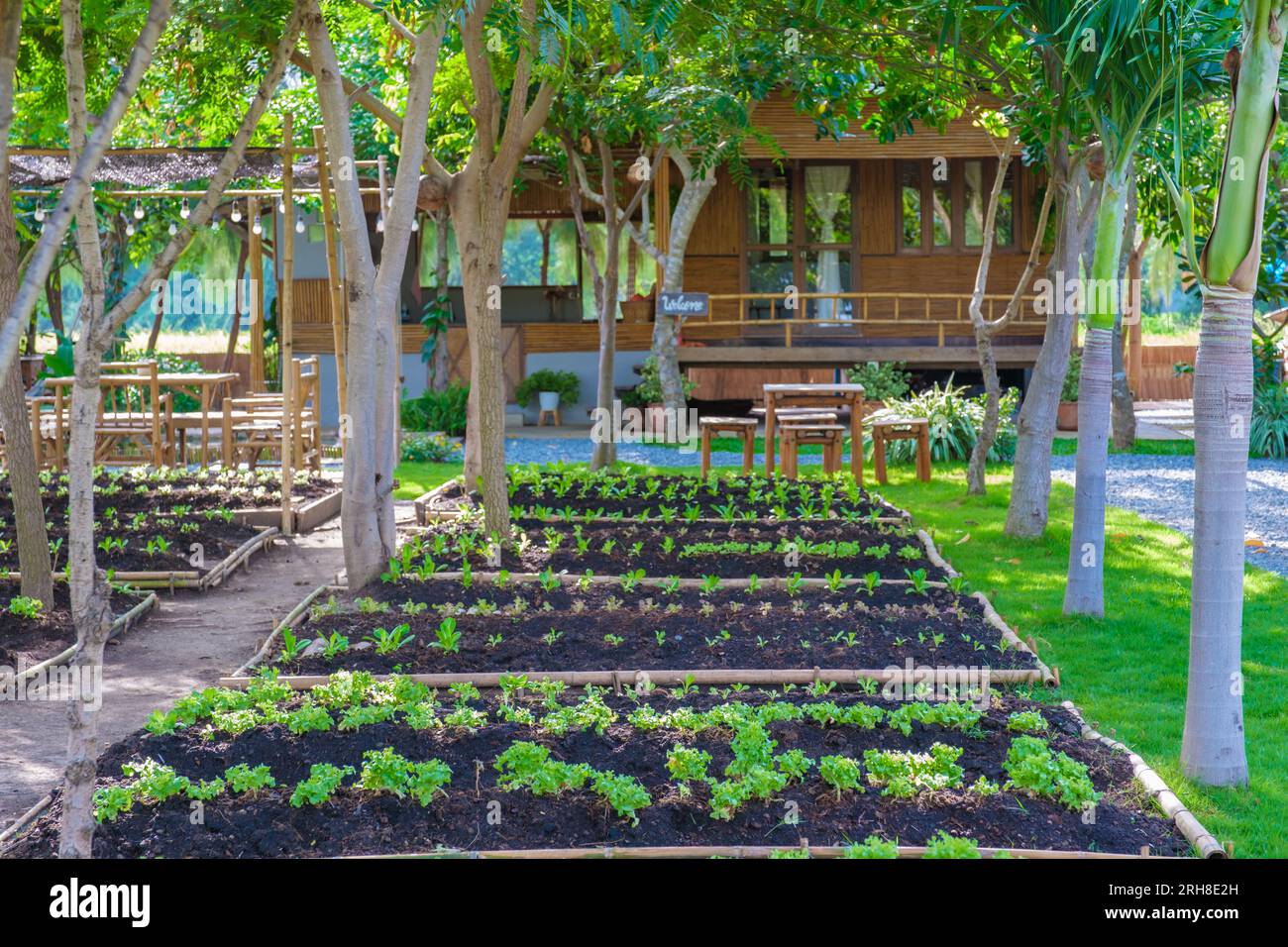 Raised Beds Organic Community