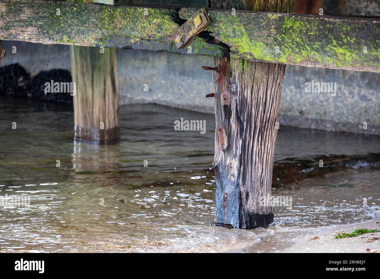 Old wooden footings of under a pier in Australia, on the shore line ...