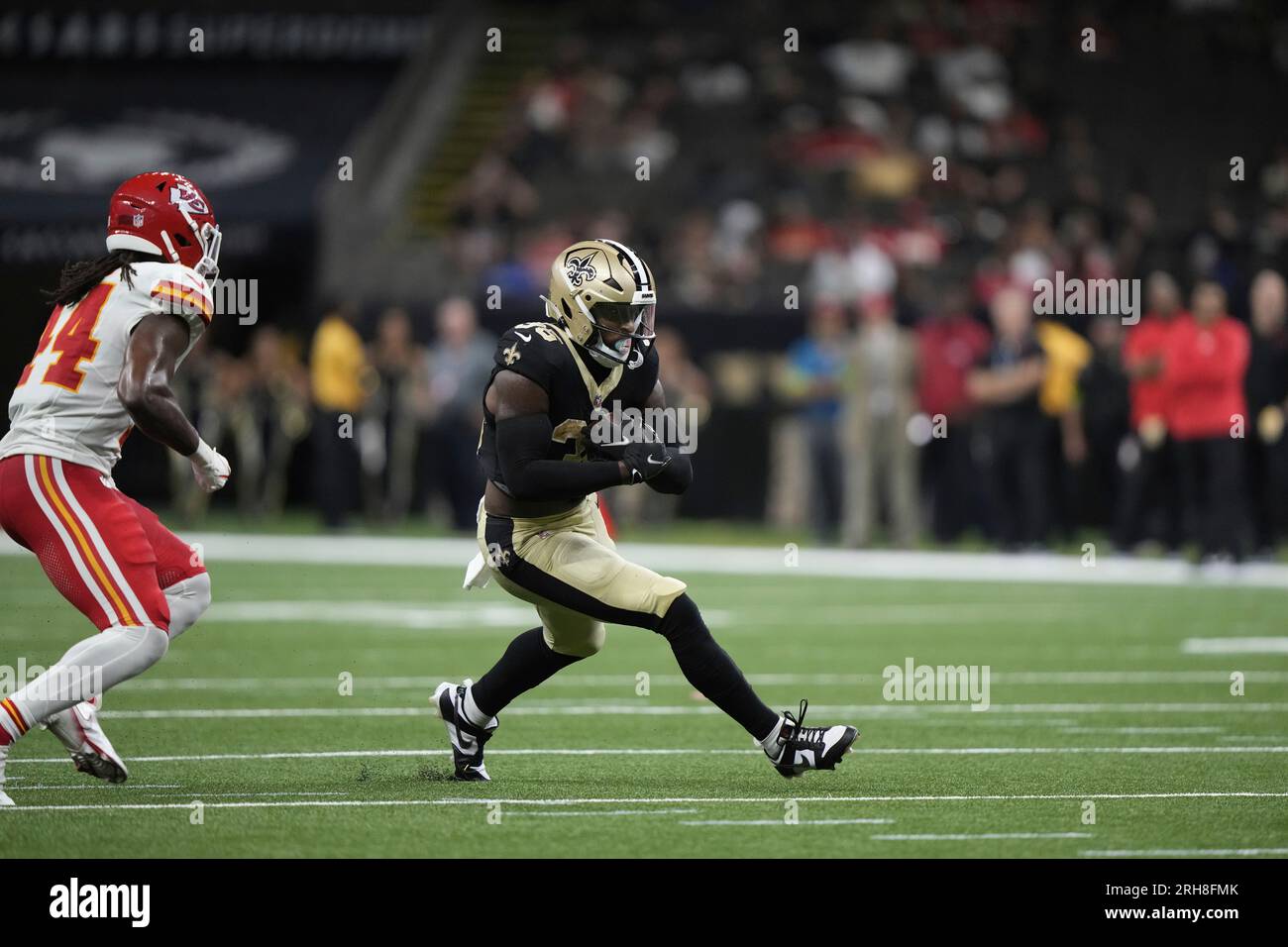New Orleans Saints running back Ellis Merriweather (35) carries in the ...