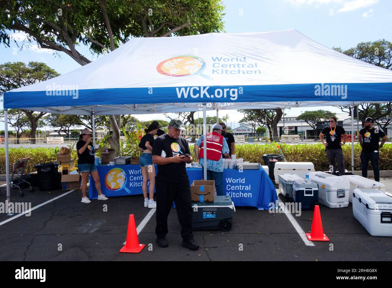 Life returns after fire hi-res stock photography and images - Alamy