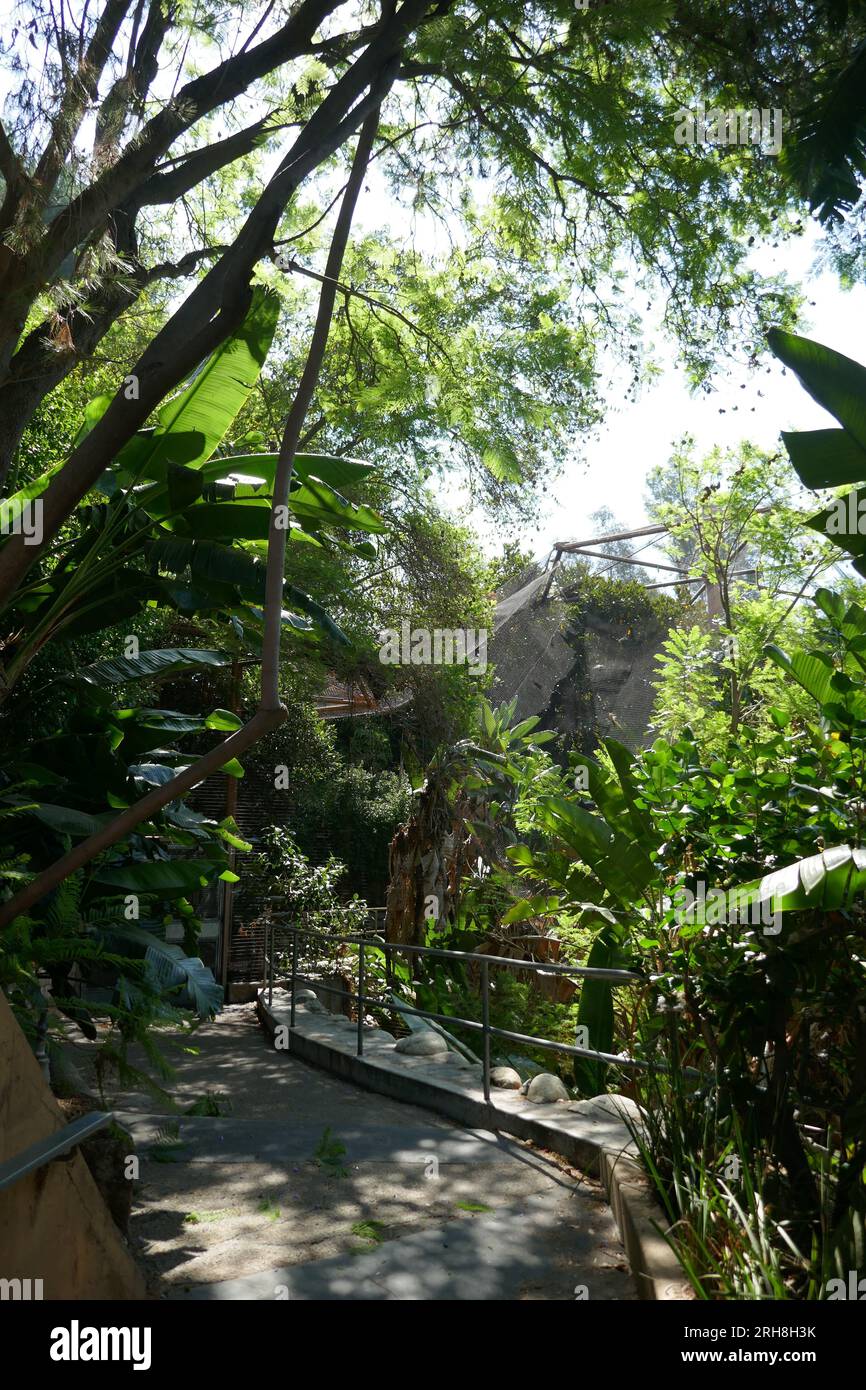 Los Angeles, California, USA 14th August 2023 Aviary at LA Zoo on ...