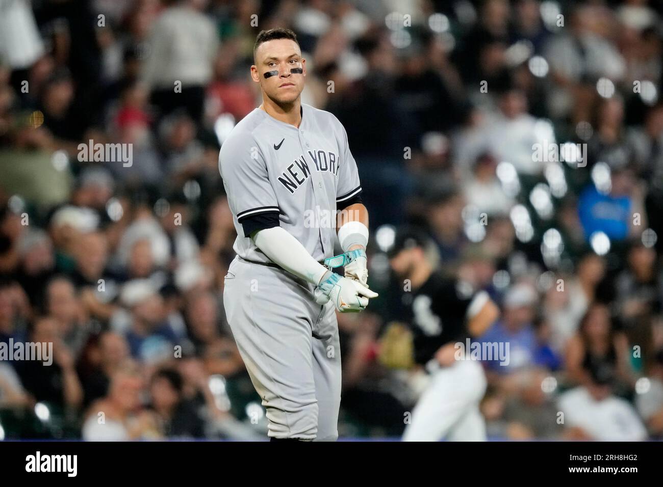 New York Yankees' Aaron Judge takes off his batting gloves during a ...