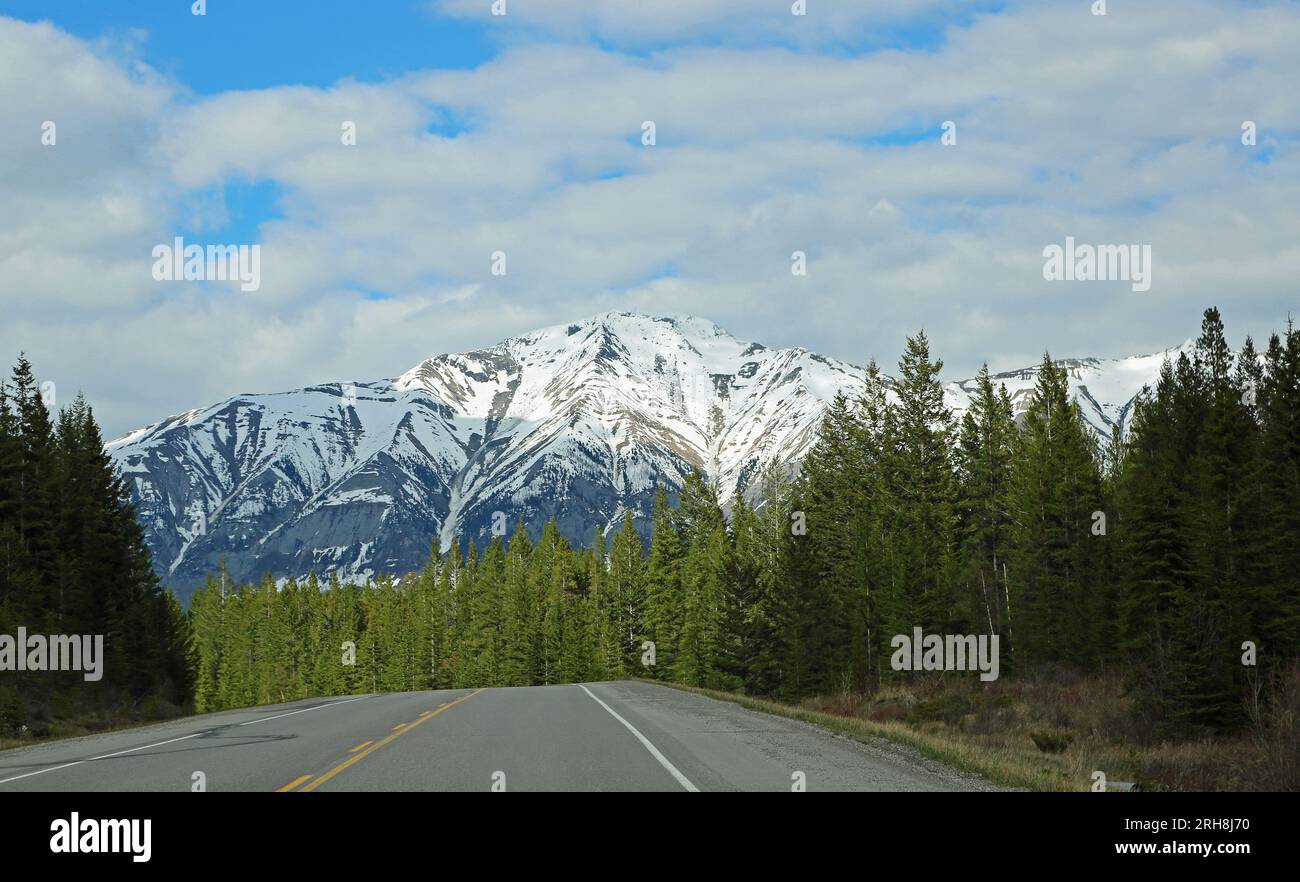 Canada road forest hi-res stock photography and images - Alamy