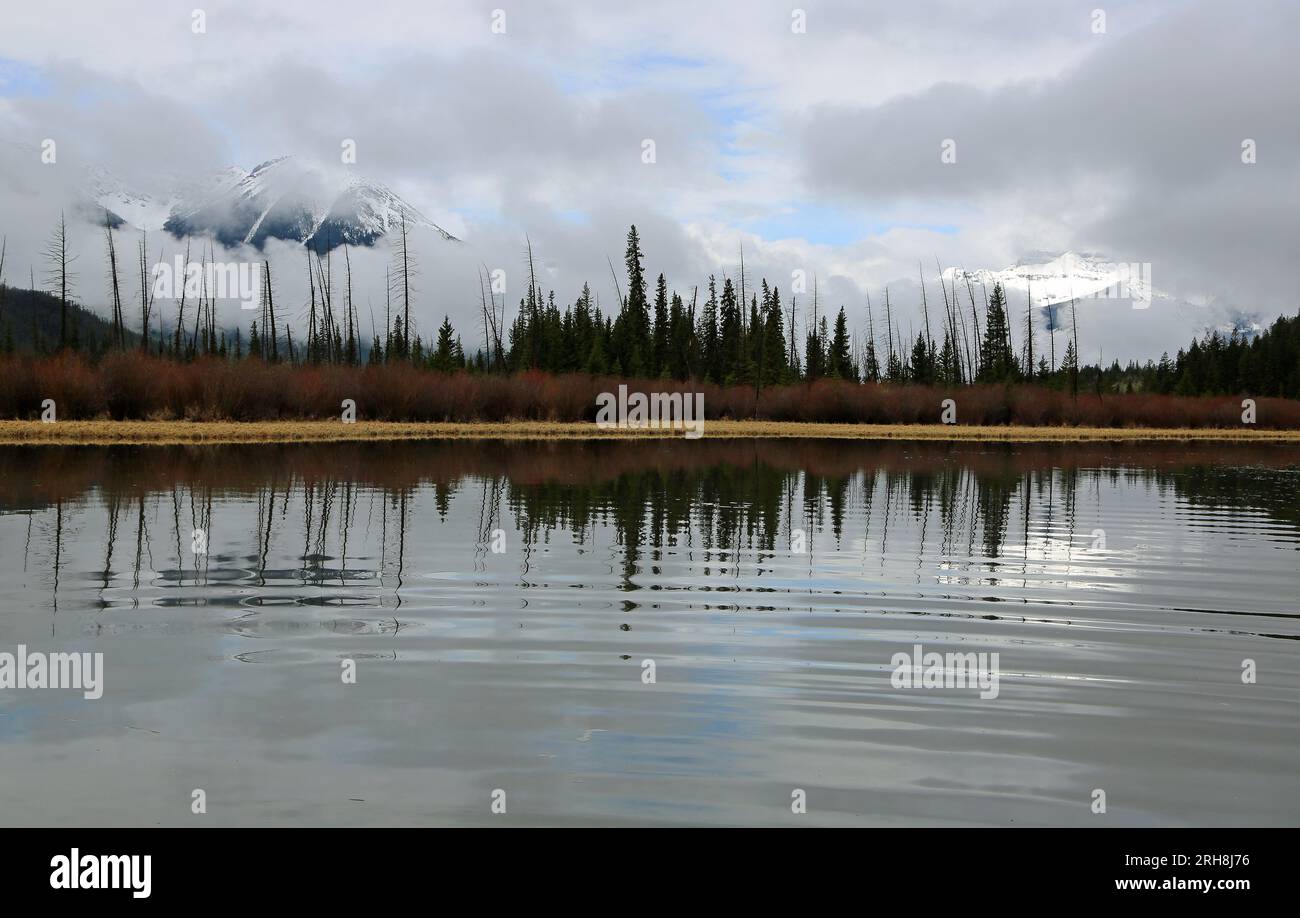 Wavy reflection banff national park hi-res stock photography and images ...