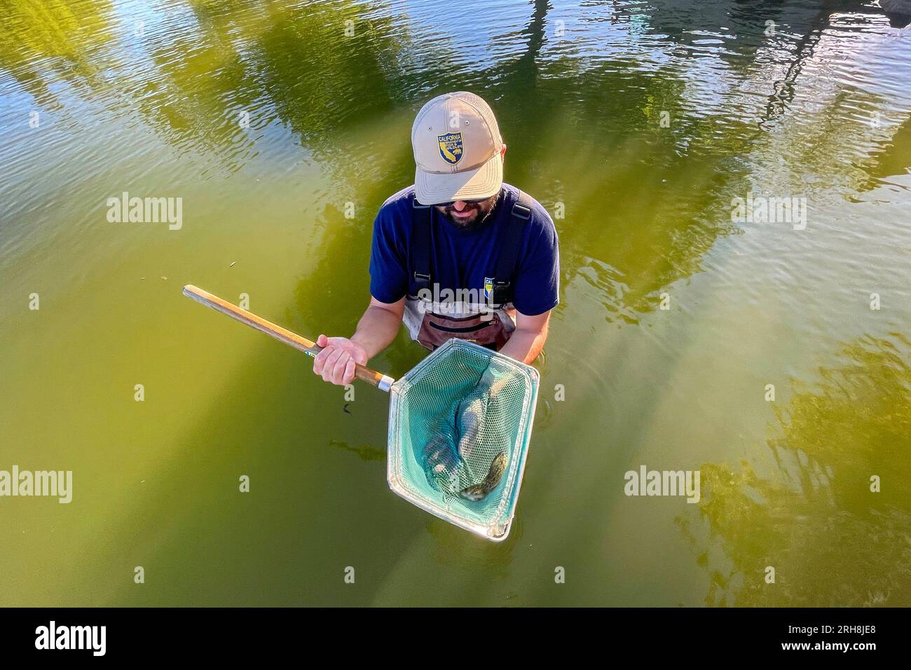 CORRECTS TO 37 INTEAD OF 30 SACRAMENTO PERCH California Fish and ...