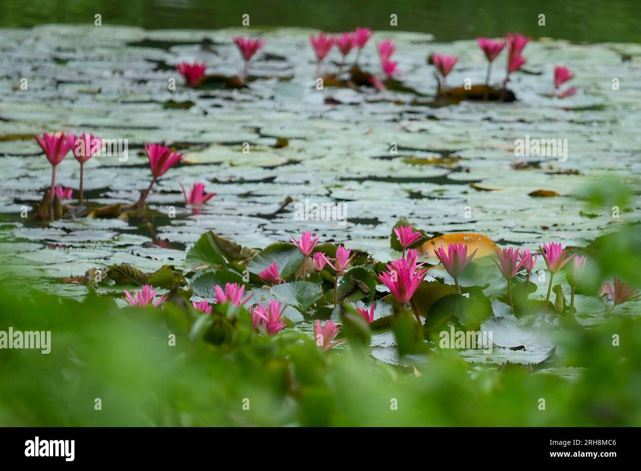 Mbb college lake hi-res stock photography and images - Alamy