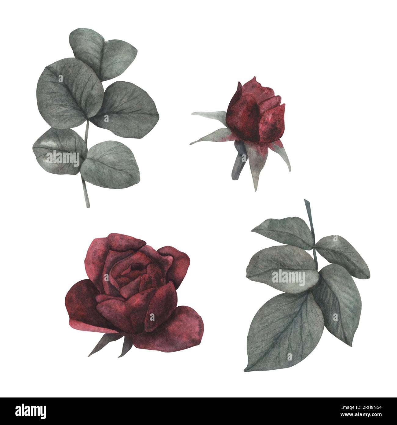 Set gothic rose with leaves magical texture isolated on white ...