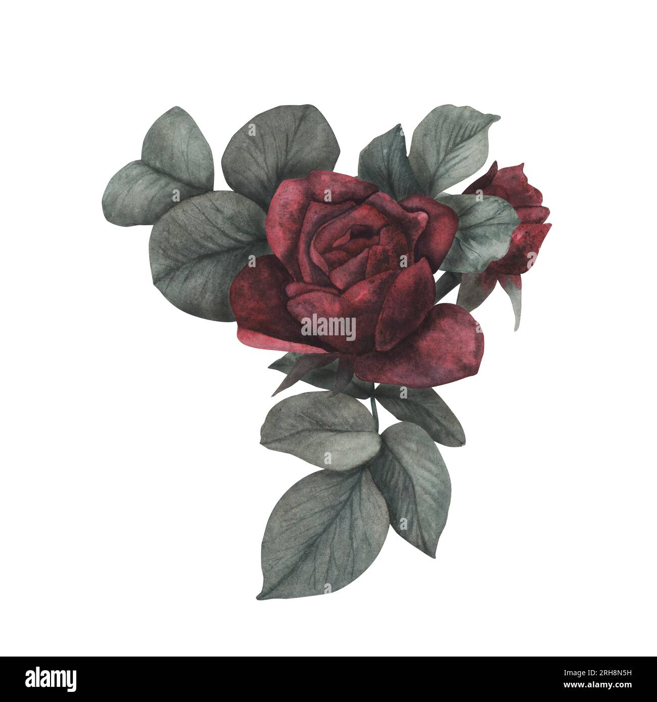 Dark gothic rose with leaves magical texture isolated on white ...