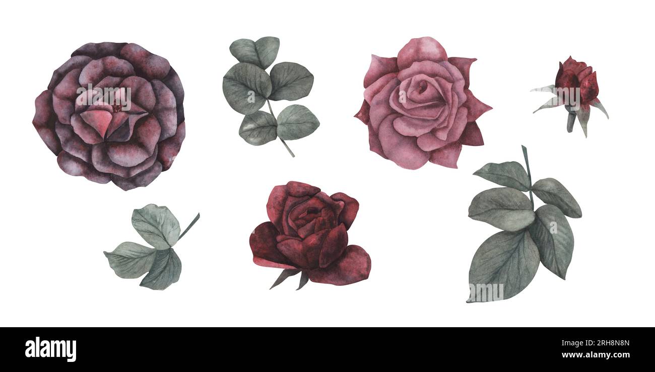 Gothic Rose Designs