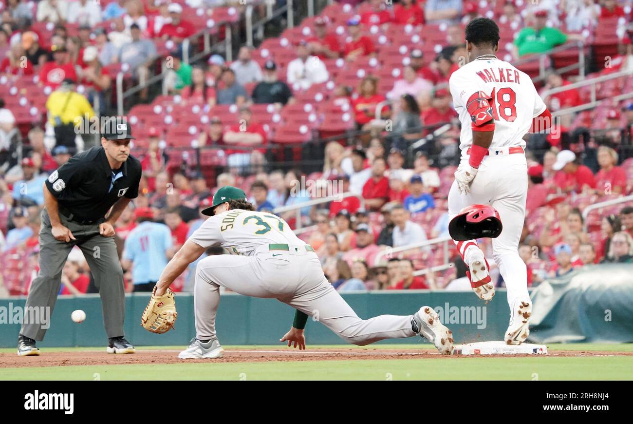 St. Louis, United States. 14th Aug, 2023. St. Louis Cardinals Jordan ...