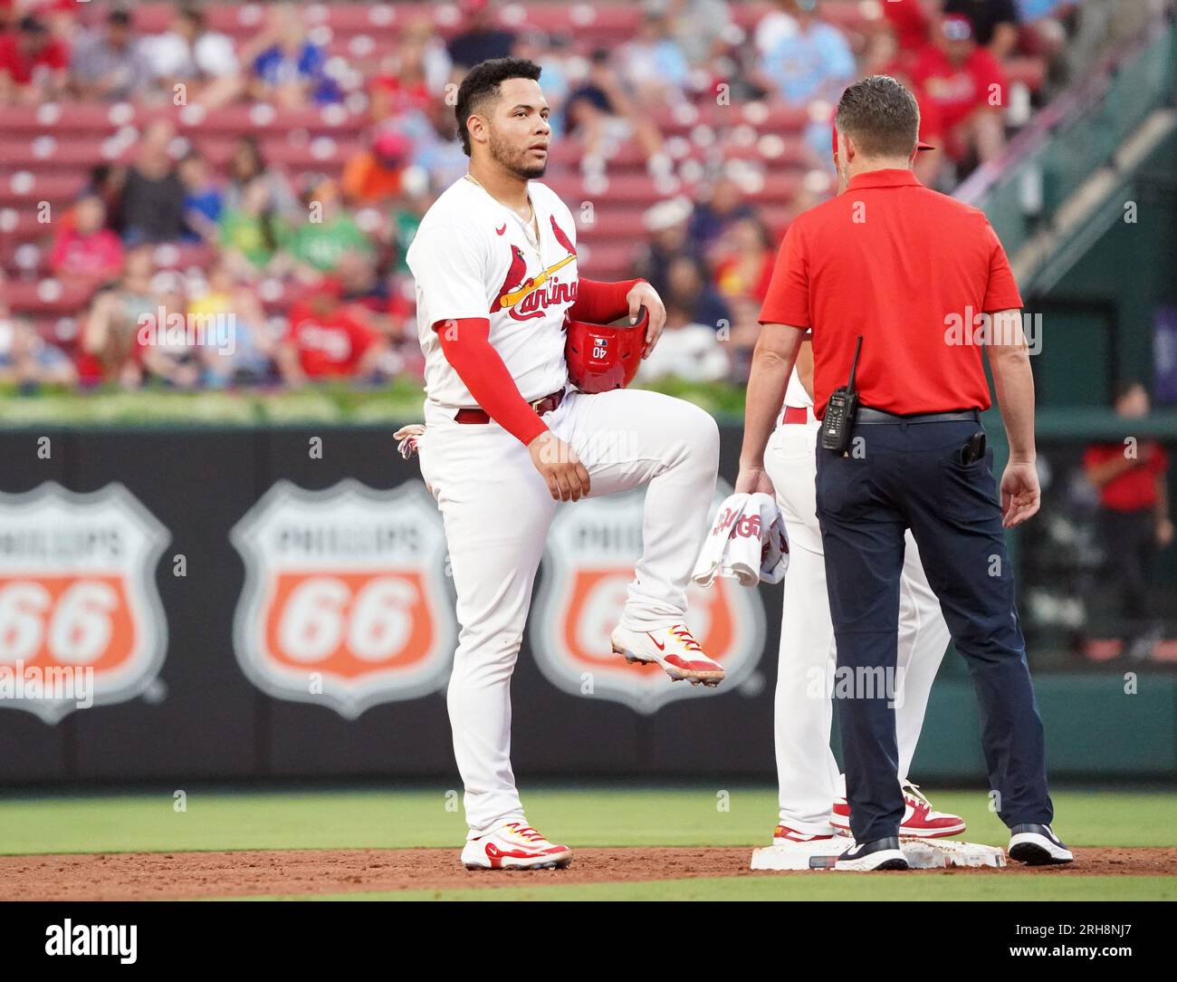 St. Louis, United States. 14th Aug, 2023. St. Louis Cardinals Willson ...