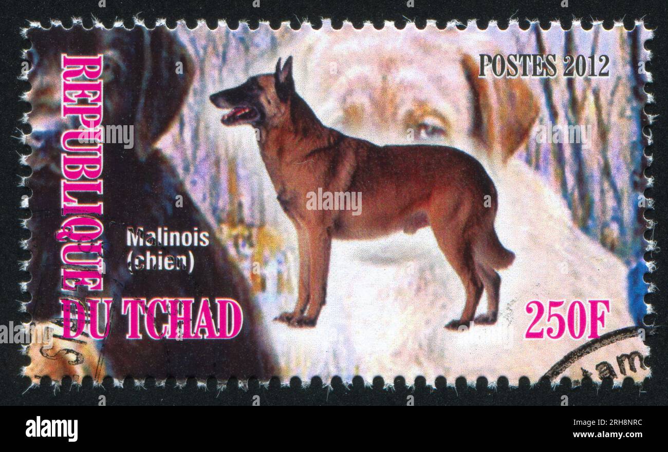 CHAD - CIRCA 2012: stamp printed by Chad, shows Malinois, circa 2012 ...