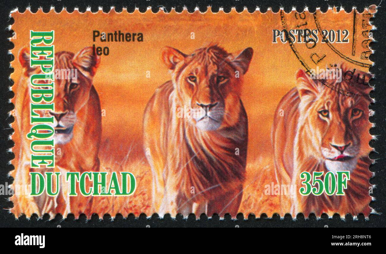 Lioness circa hi-res stock photography and images - Alamy