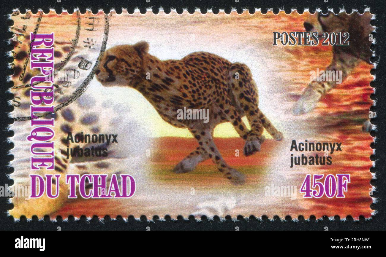 CHAD - CIRCA 2012: stamp printed by Chad, shows Cheetah, circa 2012 ...