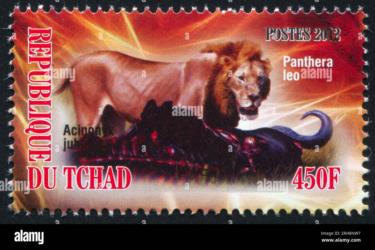 CHAD - CIRCA 2012: stamp printed by Chad, shows Lion, circa 2012 Stock ...