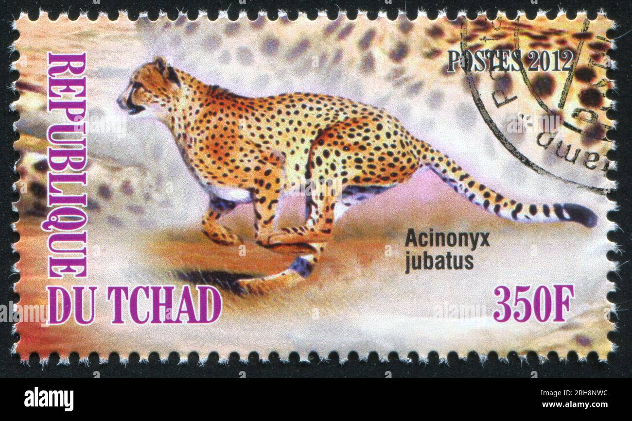 CHAD - CIRCA 2012: stamp printed by Chad, shows Cheetah, circa 2012 ...