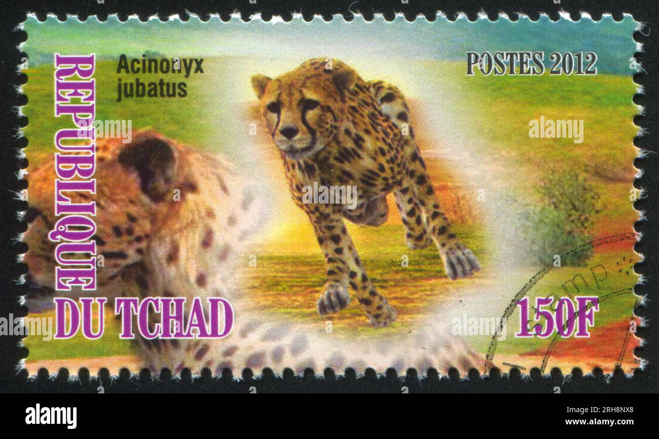 CHAD - CIRCA 2012: stamp printed by Chad, shows Cheetah, circa 2012 ...