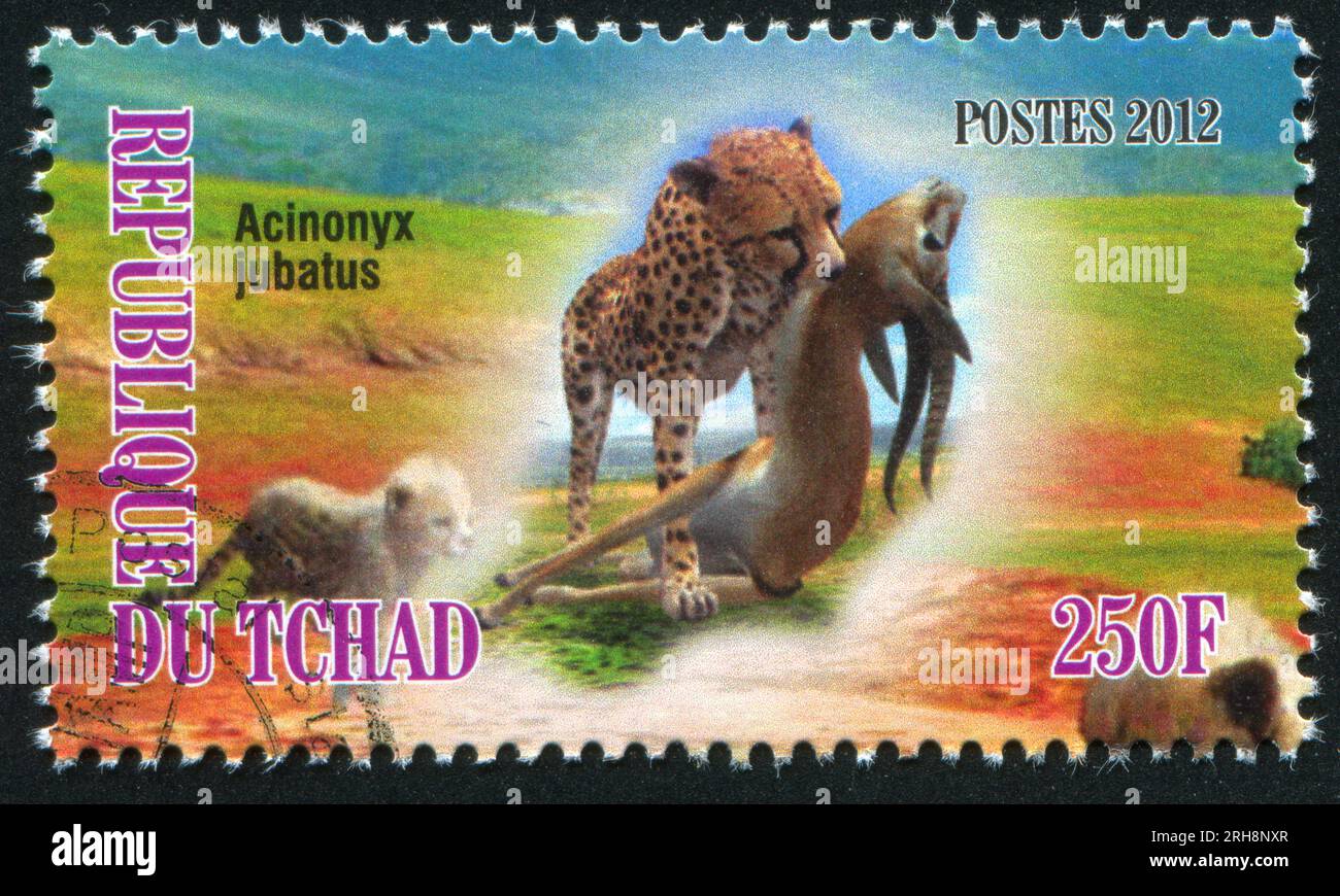 Cheetah acinonyx jubatus postage stamp hi-res stock photography and ...