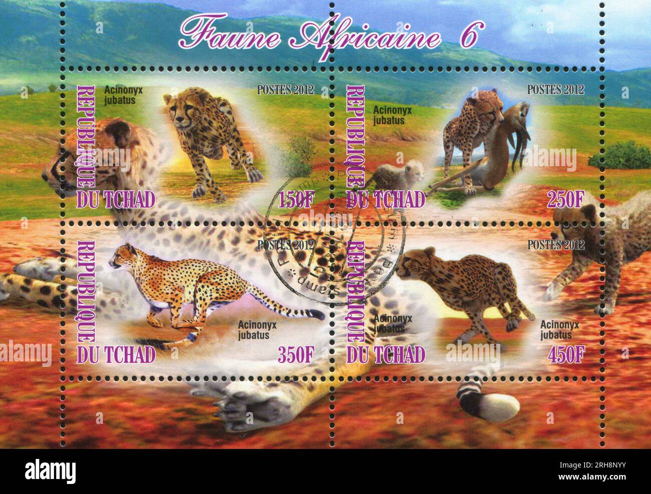 Cheetah acinonyx jubatus postage stamp hi-res stock photography and ...