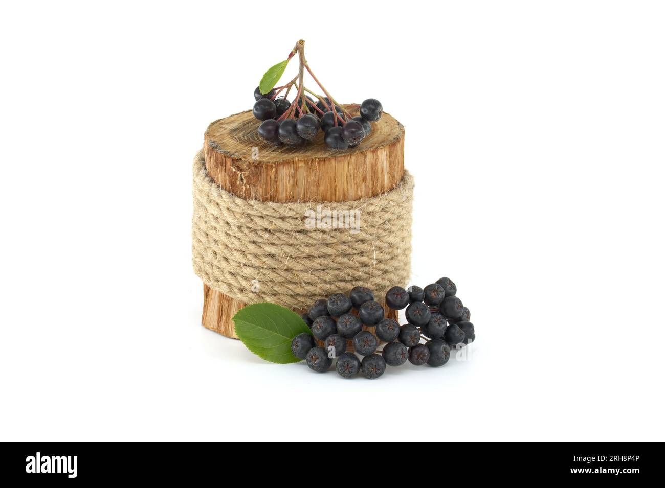 Aronia berries with a green leaf isolated on white background, Aronia ...