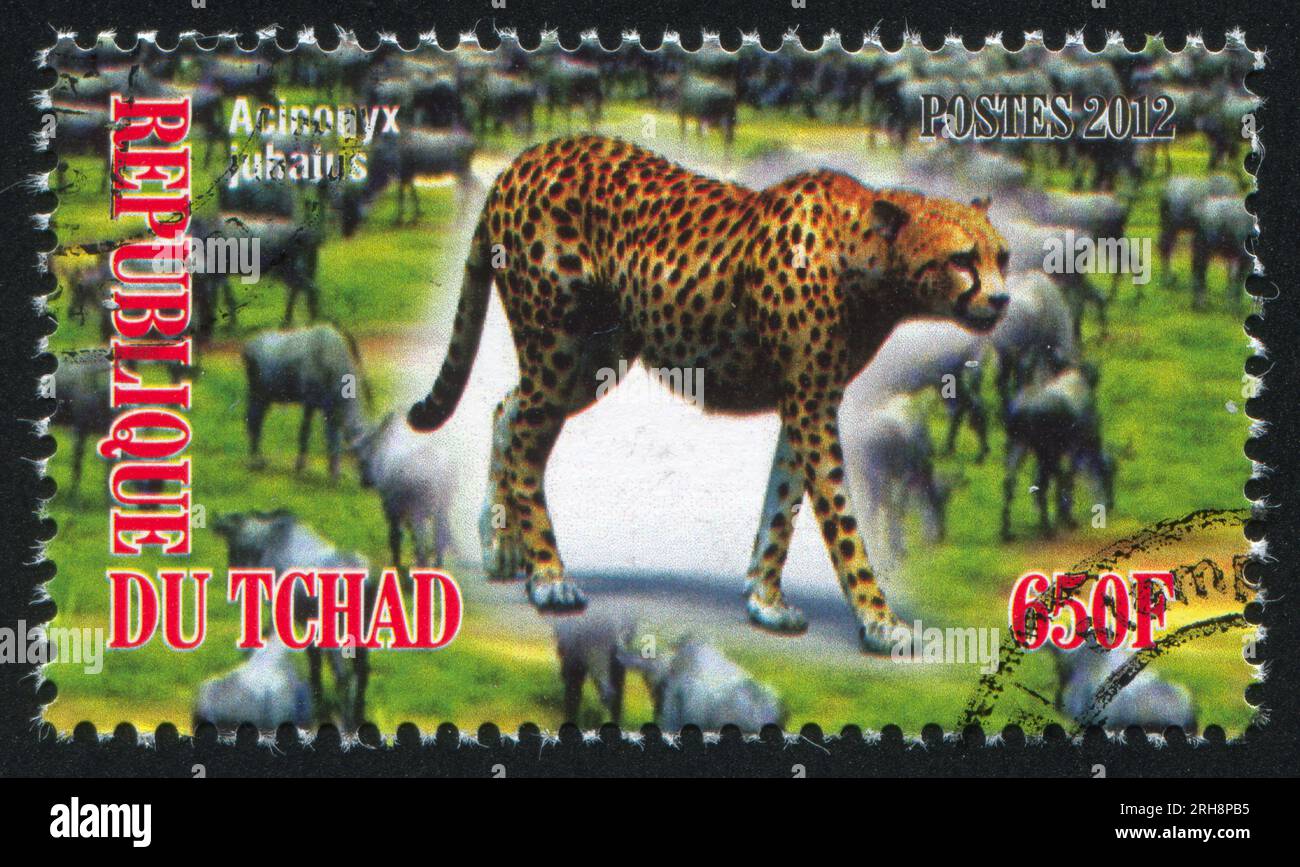 Cheetah acinonyx jubatus postage stamp hi-res stock photography and ...