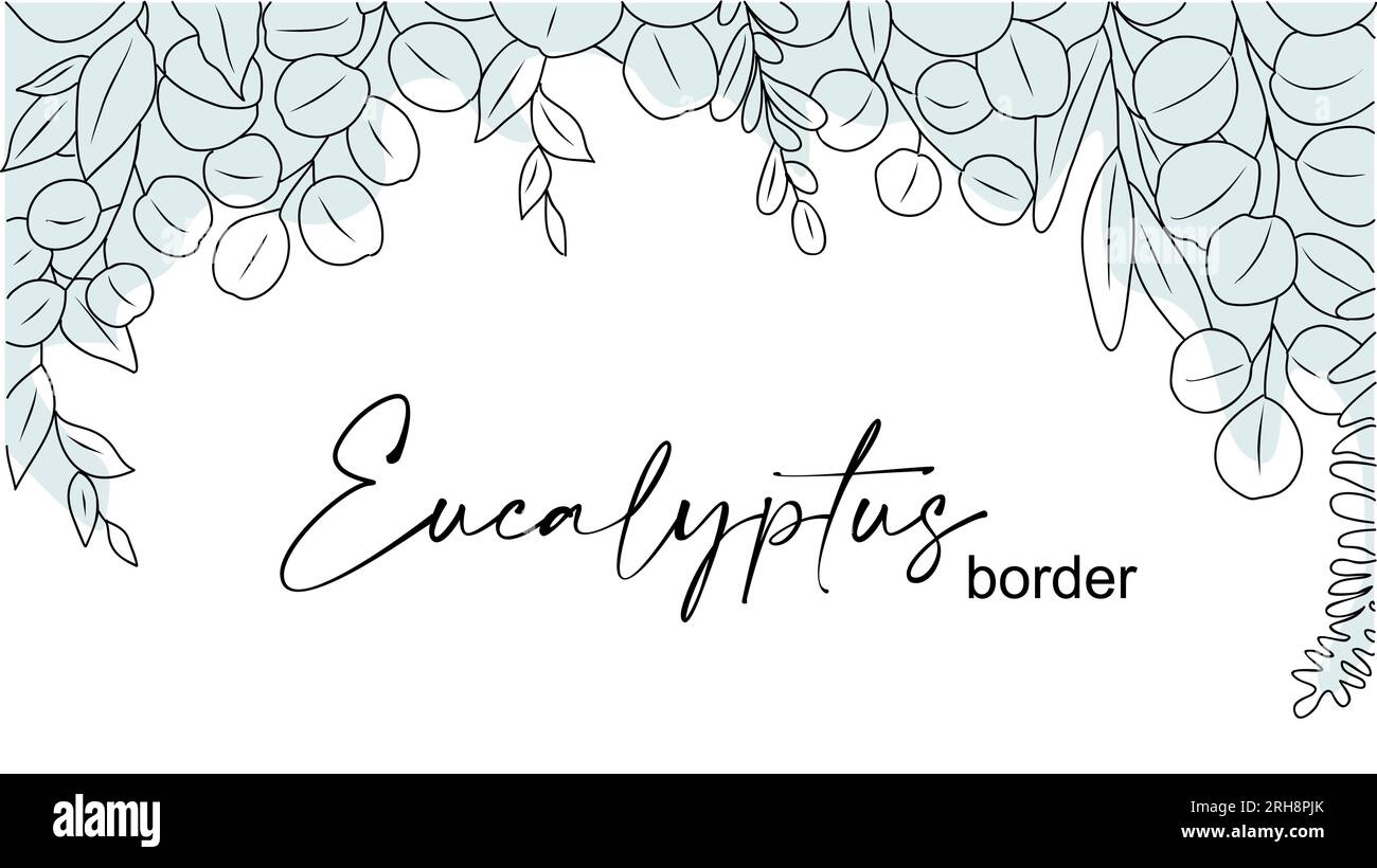 Line art eucalyptus branches, leaves border vector Stock Vector Image ...