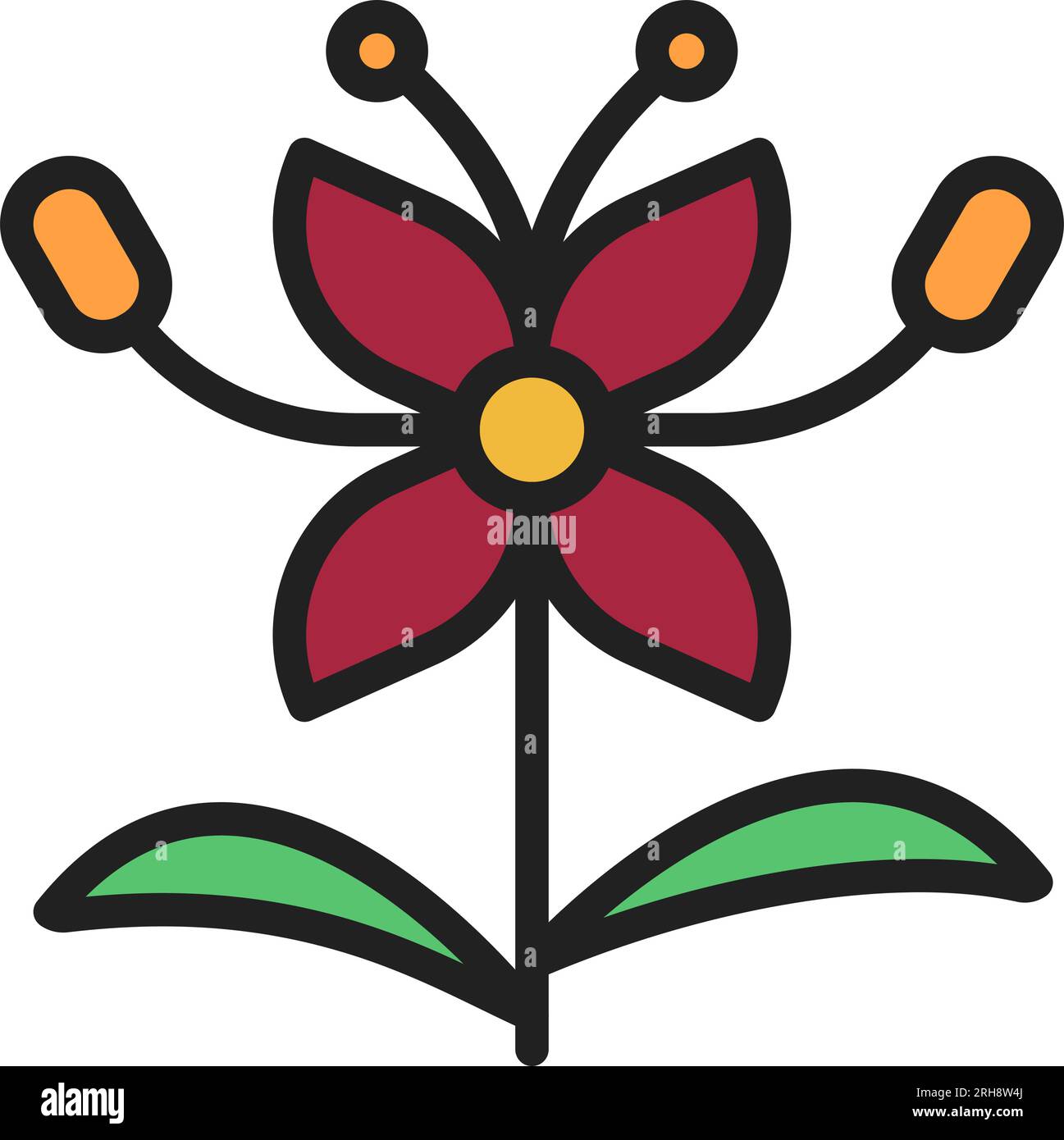 Ixora illustration hi-res stock photography and images - Alamy