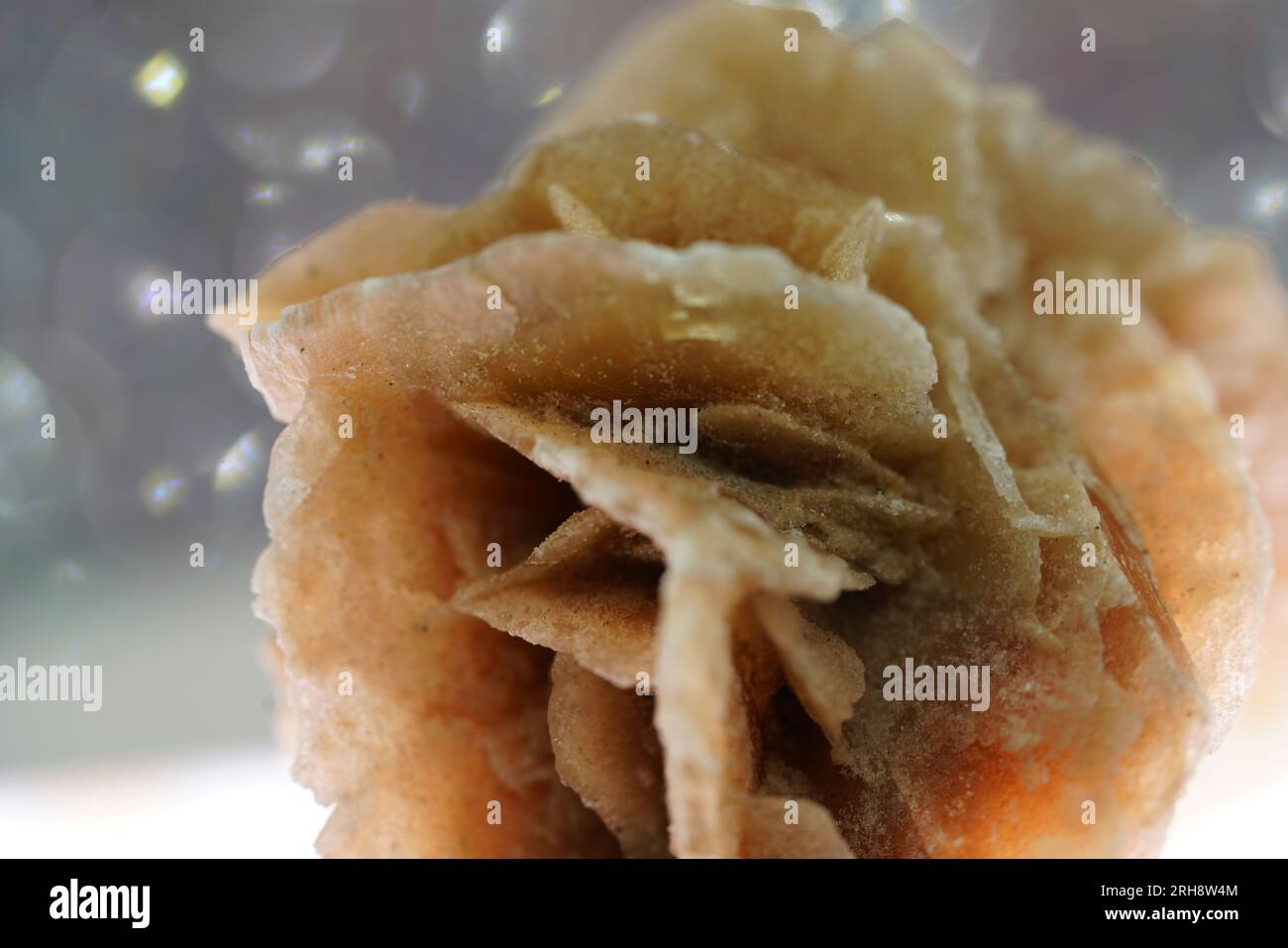 Gypsum rose with a crystal on a cut out background, Crystals resembling ...
