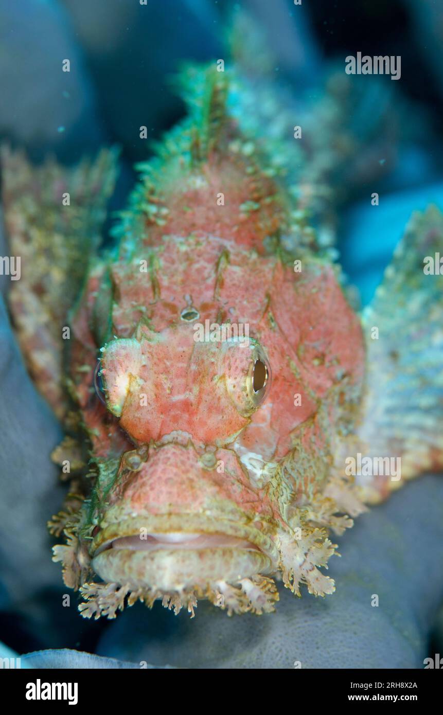 Love potion no hi-res stock photography and images - Alamy