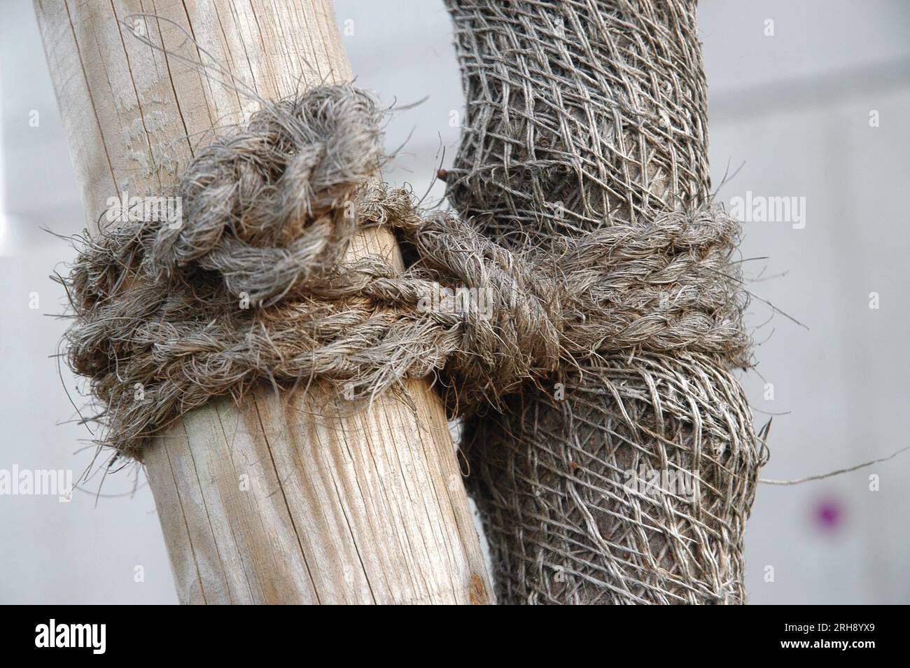 Rope on the Beach sand Stock Photo - Alamy