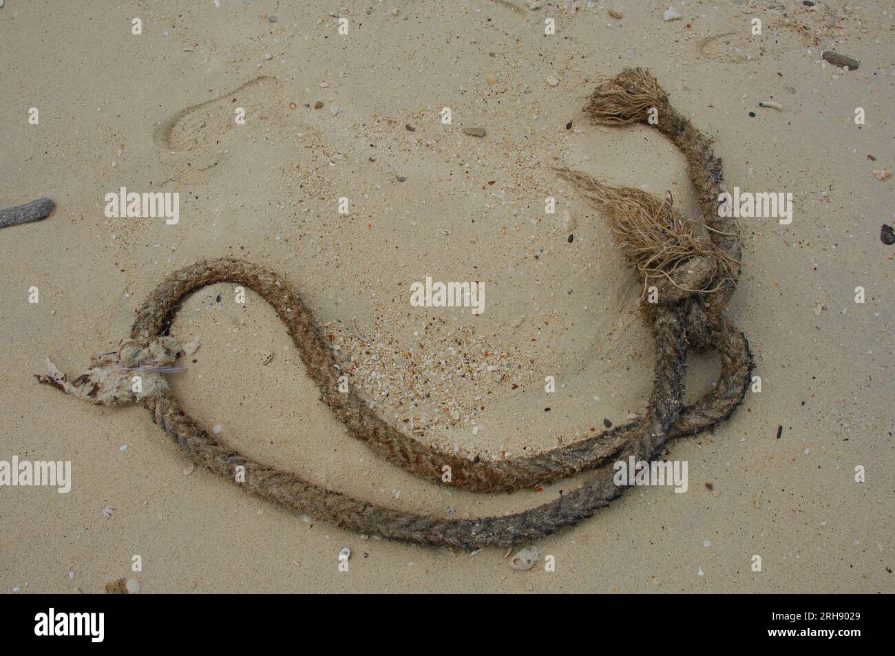 Rope on the beach sand hi-res stock photography and images - Alamy