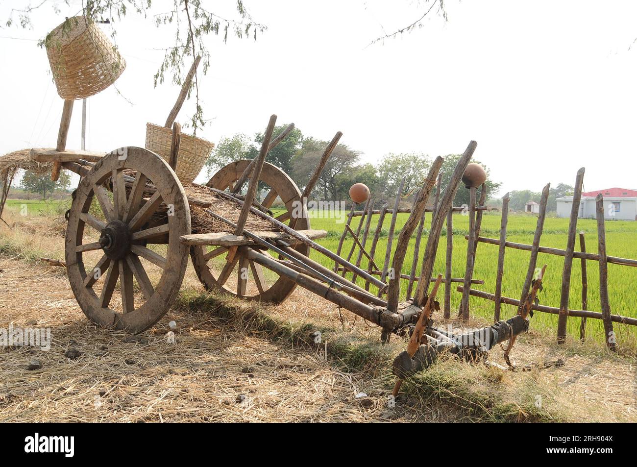 Bull cart at rural house Stock Photo - Alamy